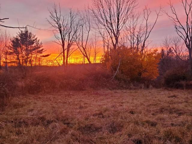 Lot 04 Maple Lake Rd Spring Brook, Moscow, PA 18444 | MLS #22 4748 | Compass