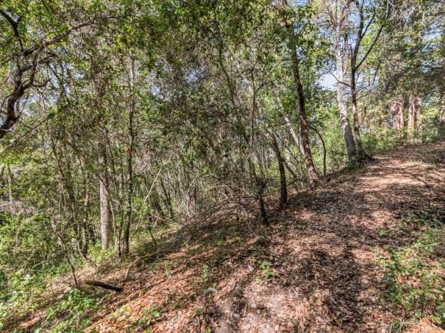 Lot 08 Madrone Ave, Felton, CA 95018 | MLS #ML82013