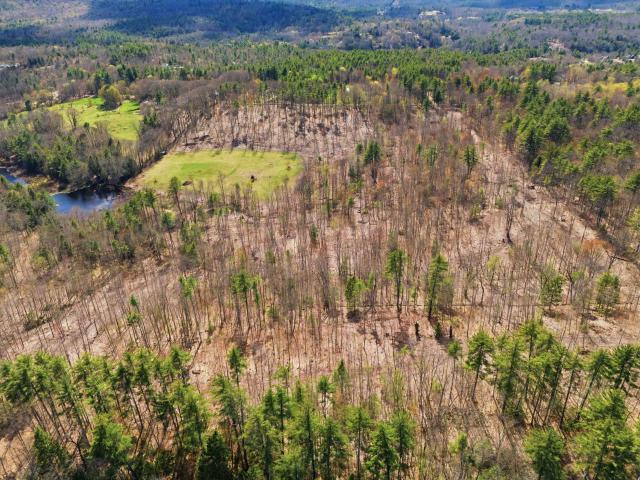 Lot 0 1 2 Pierce Lake Road