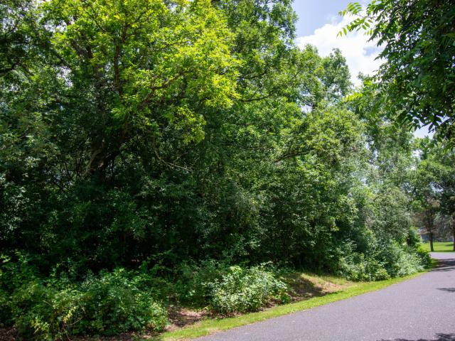 Lot 0 Tamarack Ridge Rd