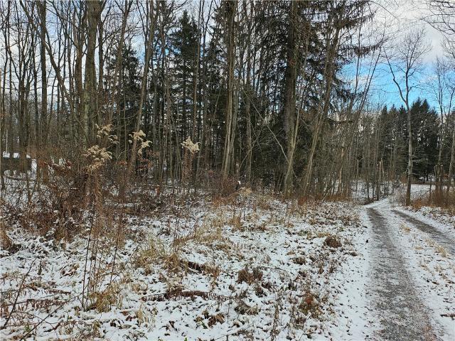 Lot 0 Branchton Road