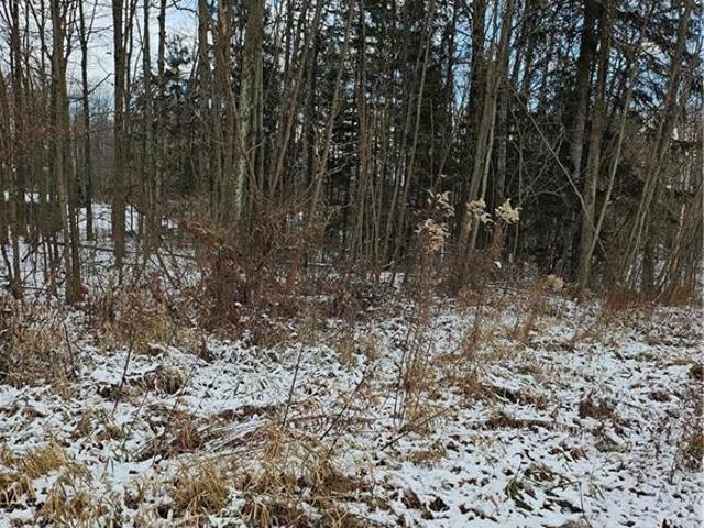 Lot 0 Branchton Rd, Boyers, PA 16020 | MLS #1733 | Compass