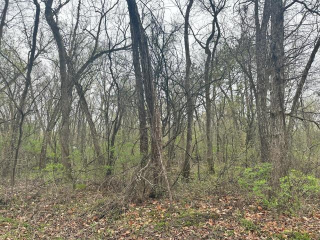 Lot 0 Catfish Dr
