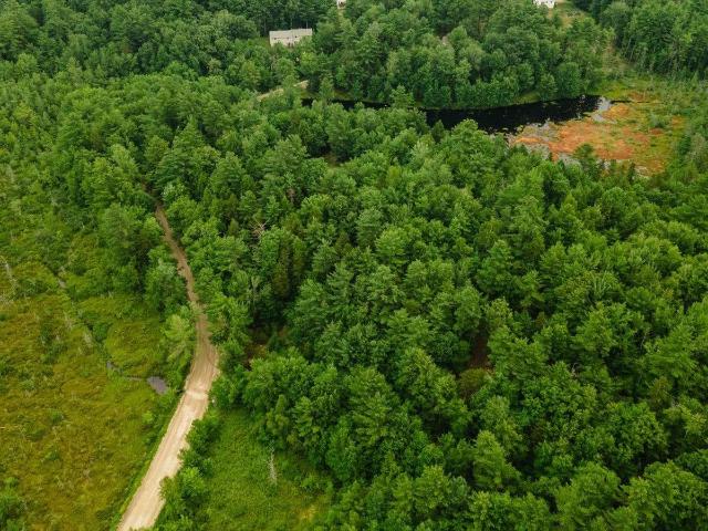 Lot 0 Pine Road