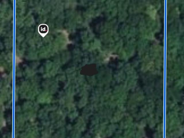 Lot 0, Protem, AR 65733