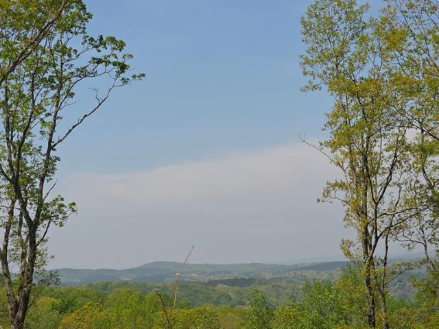 Lot 105 Twisted Oak Rd, Talking Rock, GA 30175 | MLS #430115 | Compass