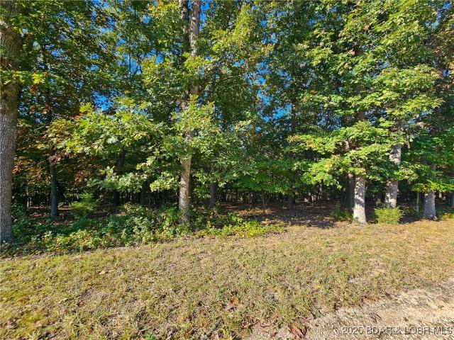 Lot #1060 Bittersweet Road