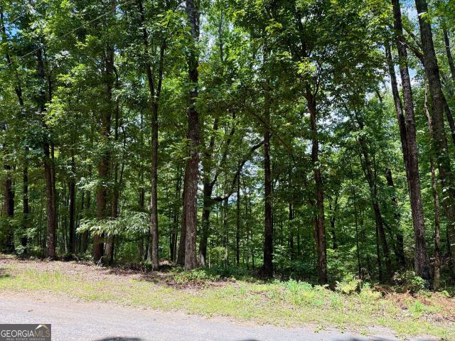 LOT 1065 Mayfield Lane