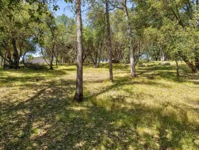 Lot 106 Apple Valley Dr, Sonora, CA 95370 MLS# 20240728