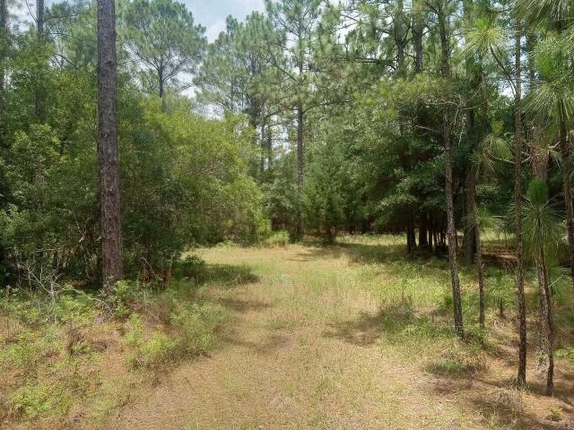 LOT 1074 Duany Dr