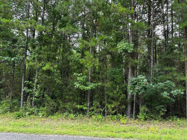 Lot 107 Cobalt Bay Drive