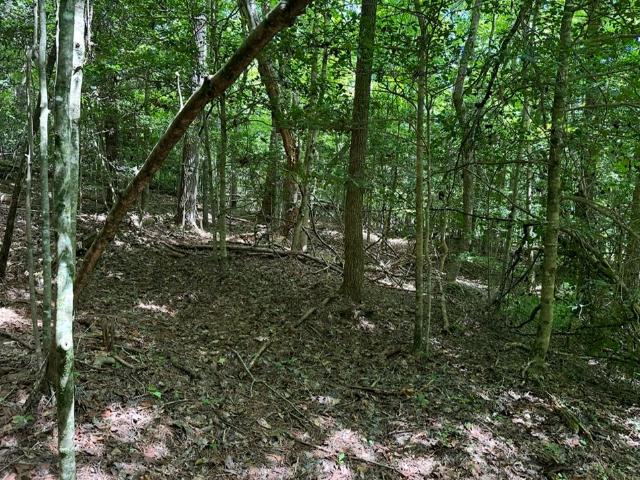 Lot 108 Red Oak Trail, Ellijay, GA 30540 | MLS #429166