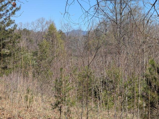 Lot 108 Smokerise Drive