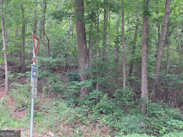 LOT 109 Arrowhead Drive
