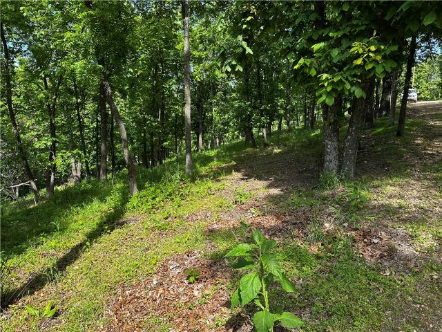 Lot 100 E Robin Road