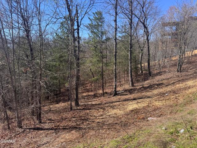 Lot 100 Laurel Cove Trail
