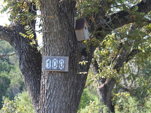 Lot 100 Saddle Ridge Dr, Bertram, TX 78605 | MLS #8642