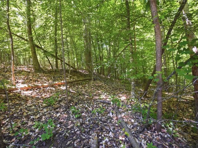 Lot 1013 S Hogan Drive
