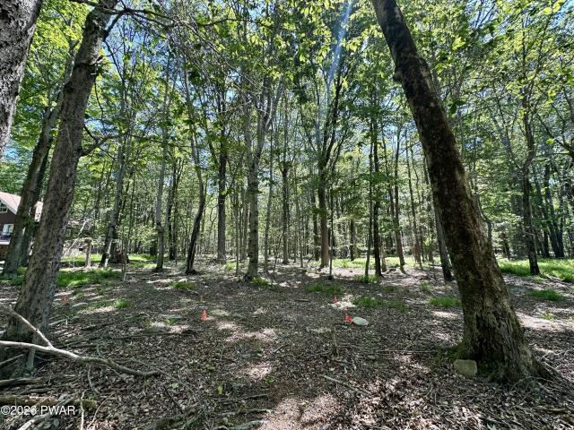 Lot 1012 Spotted Fawn Drive