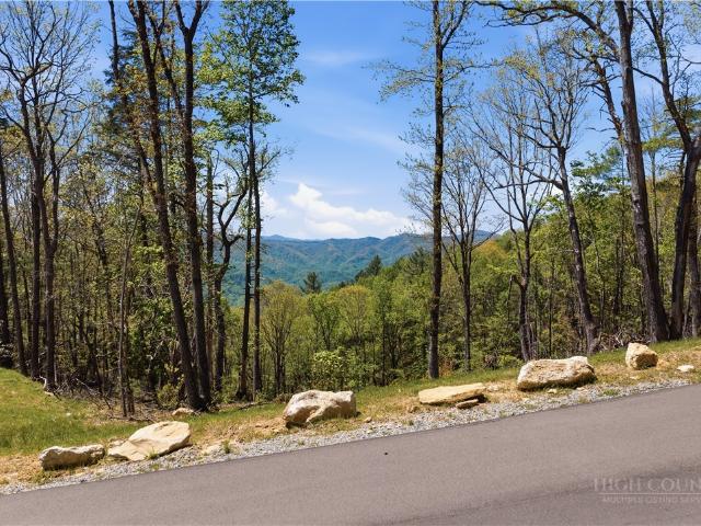 Lot 102 Angelfire Trail