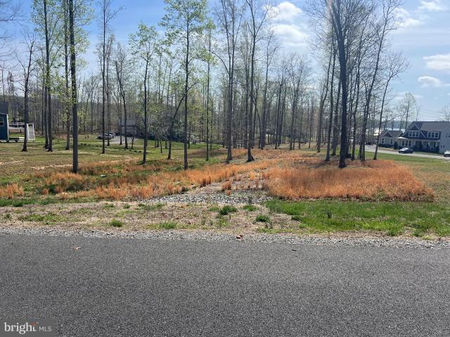 Lot 102 Fairview Dr, Mineral, VA 23117 | MLS #VALA2009 | Compass