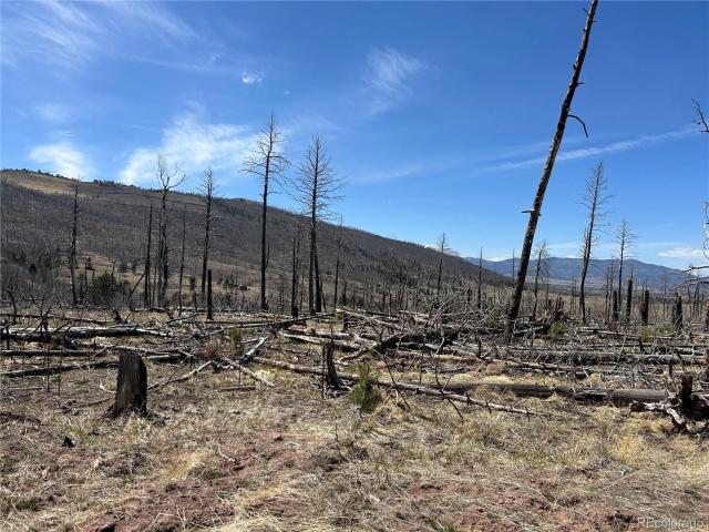 Lot 1039 Forbes Park Ranch