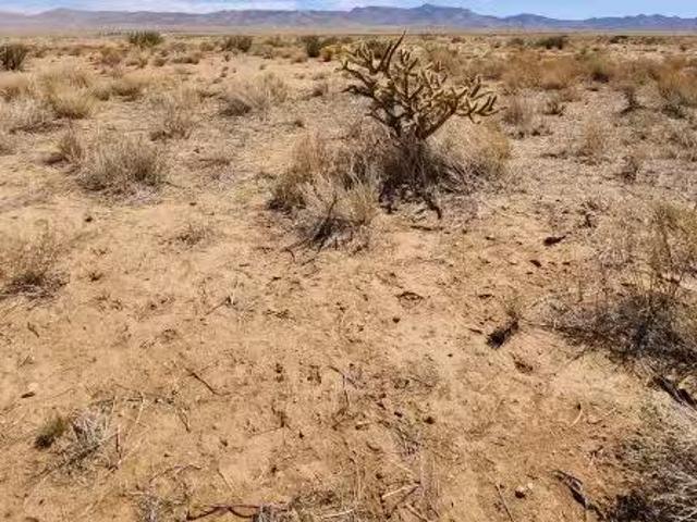Lot 103 E Dawson Rd, Kingman, AZ 86401 MLS 1035020