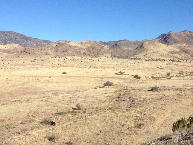 Lot 103, Rolling Hills, NM 87832