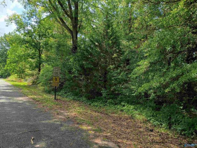 LOT 103 106 Brooklyn Street