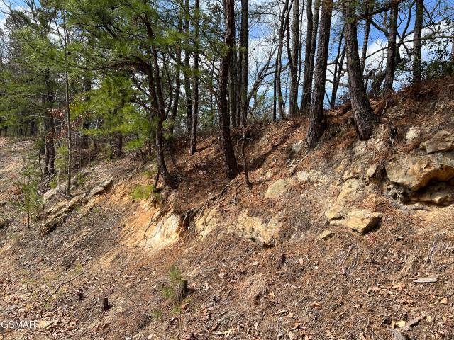 Lot 10 11 Chestnut Ridge Court