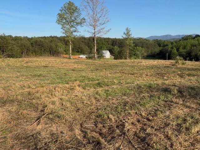 Lot 10 & 11 Curtis Rd, Tellico Plains, TN 37385