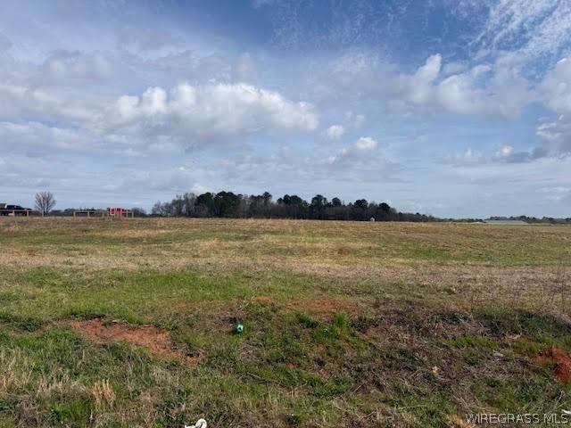 Lot 10 County Road 711
