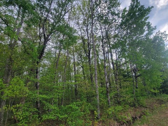 Lot 10 County Road A