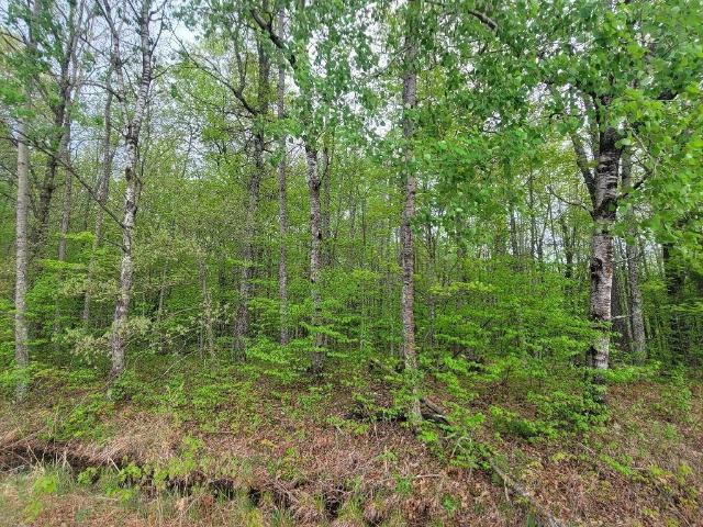 Lot 10 County Road A, Spooner, WI 54801 | MLS #6636