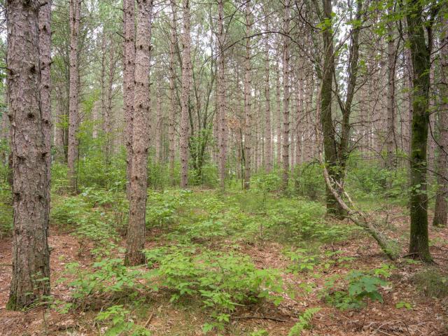 Lot 10 County Road G