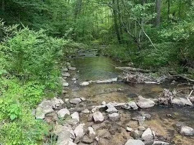 Lot 10 Clear Creek Preserve Way, Ellijay, GA 30536 MLS 7382261