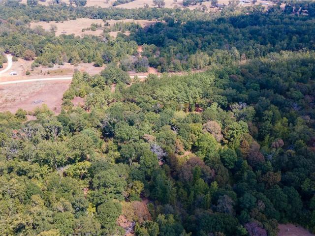 Lot 10 Cr 100 N, Leona, TX 75850 | MLS #25002 | Compass