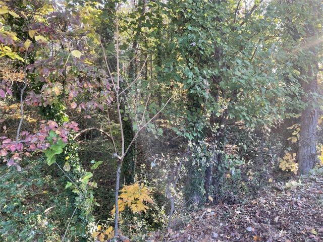 Lot 10 Brookforest Drive