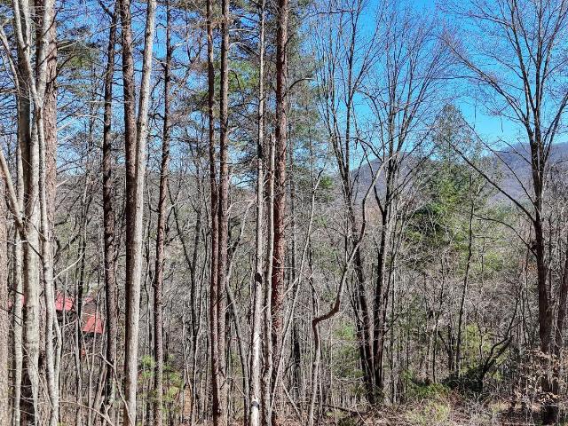 LOT 10 Butternut S/D / Firefly Ridge