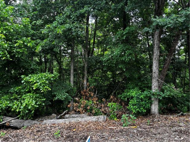 Lot 10 Kensington Lane