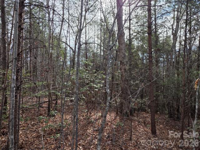 Lot 10 Kerlee Lane
