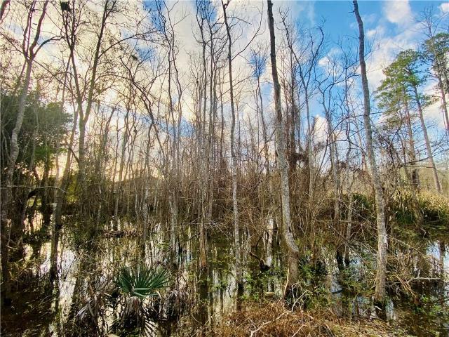 Lot 10 Indian Mound Lane