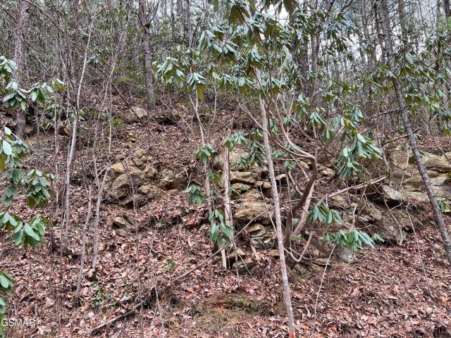 Lot 10 John Sevier Drive