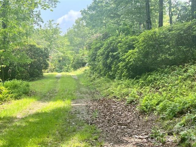 Lot 10 Joshua Road