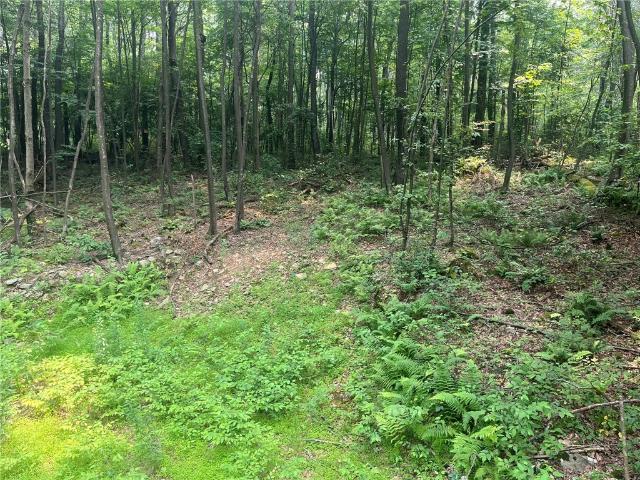 Lot 10 Off Camp Run Rd