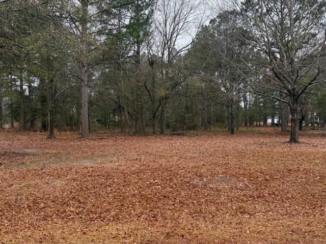 LOT 10 Laurel Oak Drive
