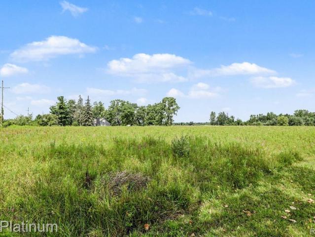 Lot 10 Lapeer Road
