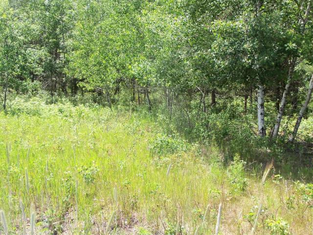 Lot 10 Maple Ln