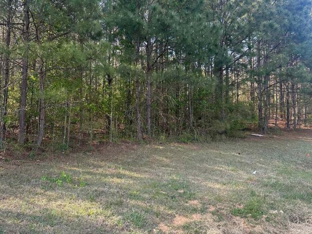 LOT 10 N Montcrest