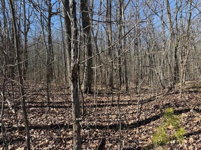 Lot 10 Shadowland Dr, Unit 10B, Graysville, TN 37338 | MLS #1529